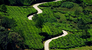 Kerala Pilgrimage Tours – Kerala Tourism Mart